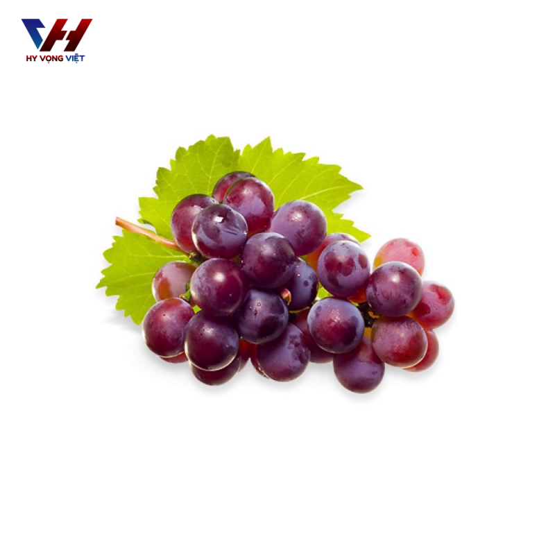 Hộp Nho Đỏ (500gr) - Hy Vọng Việt